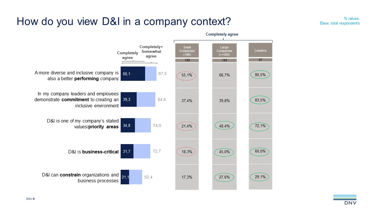 ViewPoint Diversity & Inclusion - Insights